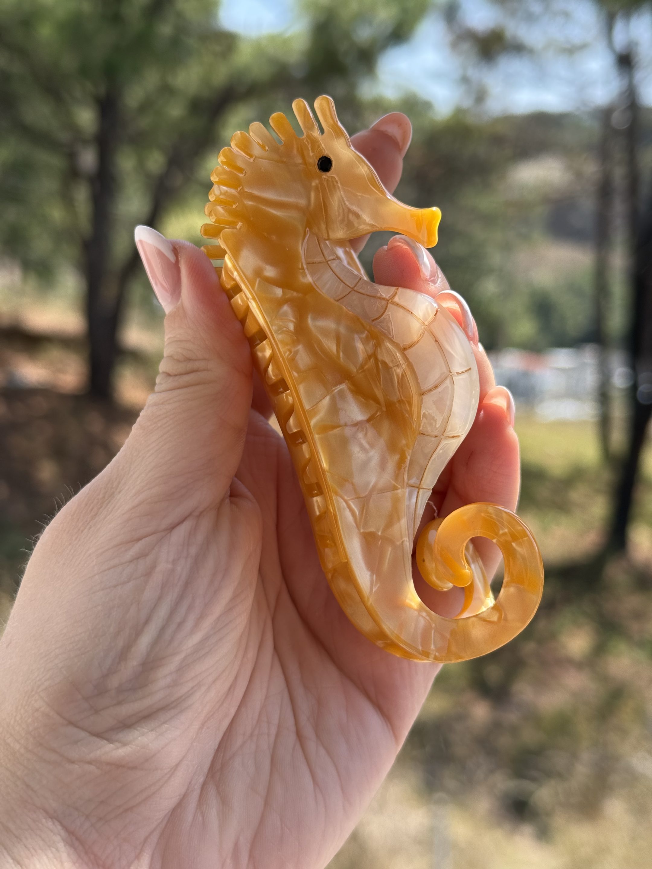 Gancho (pinza) coreano caballito de mar - Cleopatra